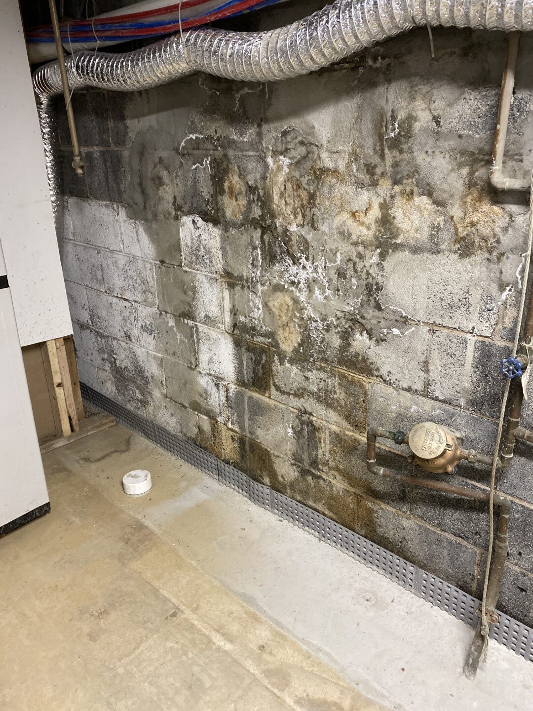 Top 10 Signs Your Basement Needs Waterproofing - Basement Waterproofing One